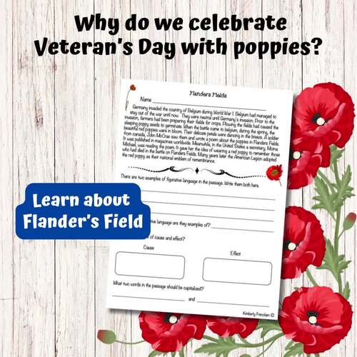 Nonfiction Reading Comprehension Passage & Questions: Veteran's Day ...