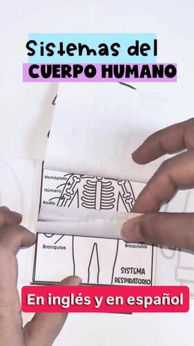 Body Systems Flip Book: Build and Learn (Grades 2-4) | Bilingual