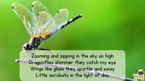 Music: Dragonfly Dance Song Classroom Songs Reading Lyrics Sing-along ...