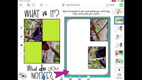 October Lesson Plans - Digital Pumpkins, Bats, Spiders, Halloween ...