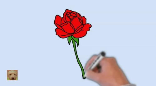 Distance Learning: Basic English Vocabulary | Video #1 | No Text