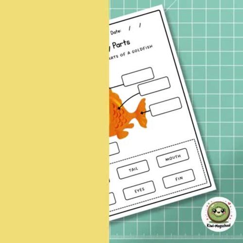 Pet Body Parts Bundle | Animal Anatomy Labeling | Kindergarten Life Science