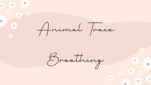 Trace Breathing Visuals | Set of 20 Calm Down Breathing Exercises ...