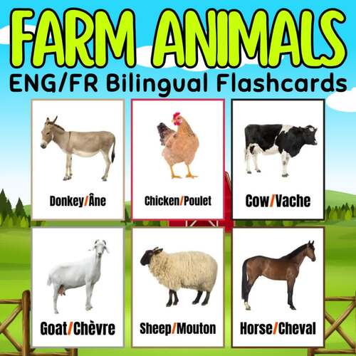 English / French Bilingual Farm Animals Vocabulary Flash cards with ...