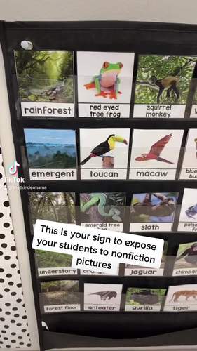 Rainforest Writing Center | Nonfiction Pictures | Real Pictures | Editable