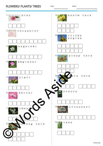 Vocabulary Puzzle Writing Worksheets Crossword Word Search Anagram FLOWERS