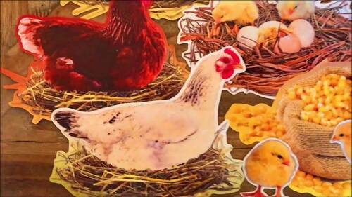 Chicken Dramatic Play Life Cycle and Egg Activity by Miss Fuzzy Bee