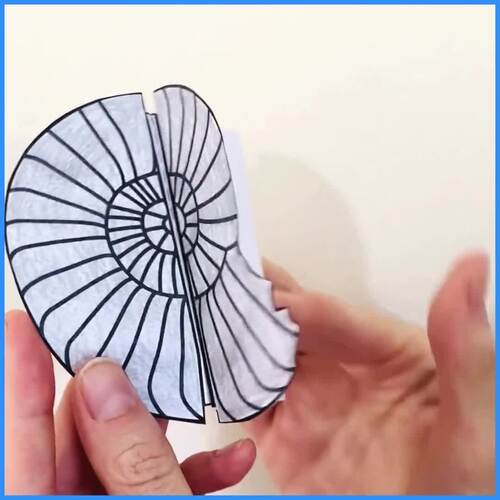 Earth science foldouts for layers of soil and how a fossil is formed ...