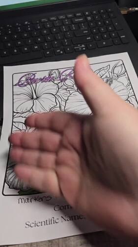 Las Flores of Latin America - Coloring Book by Ms Sanchez Said What