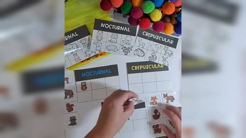 Animal Science Activities Early Elementary Independent Task Boxes Hands On