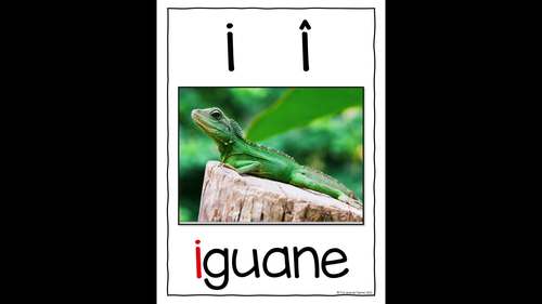 FRENCH Sound Posters with real images | Les affiches de sons | TpT