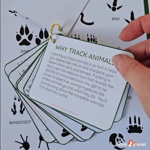 Australian Animal Tracks Guide | Animal Tracking Posters | Australian ...