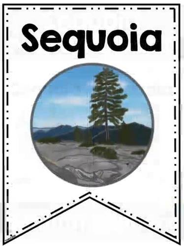 Yellowstone National Park Bunting Banners by TCHR Two Point 0 | TpT