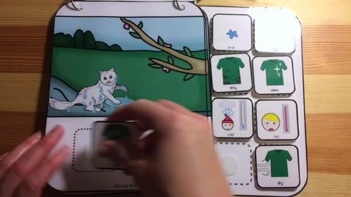 Describing Cats Interactive Book: Adjective + Noun Combinations w. BOOM ...