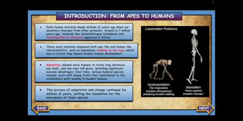 Evolution Of Early Humans Interactive Powerpoint. L1 World History ...