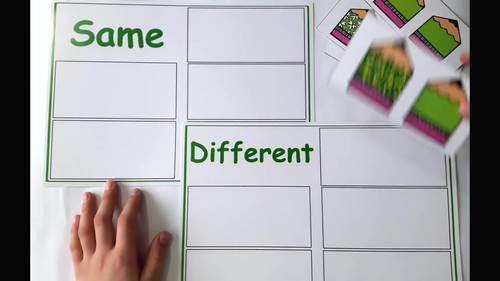 Special Ed St Patrick`s Day Activity | Speech Therapy Same and Different Sort