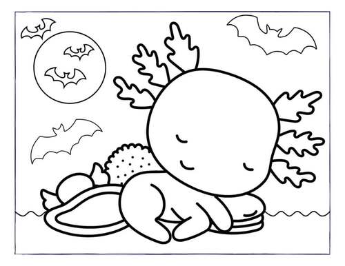 salamander coloring pages free printable