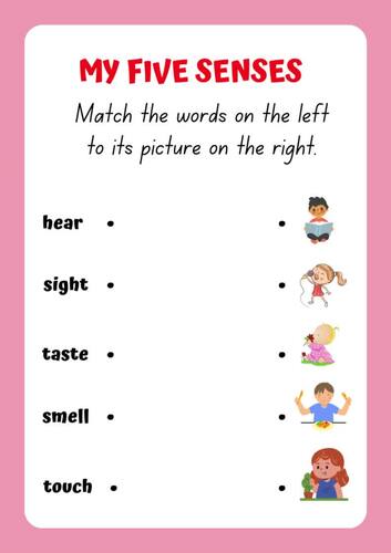 Five Senses English Worksheet 36 pages | TPT