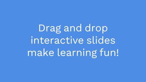 Comparing Gators Google Slides Interactive Practice - Numbers to 20