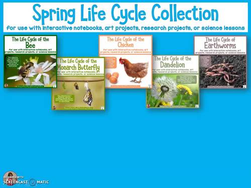 Spring Life Cycle Bundle: 9 Different Plants and Animals by Elementary ...