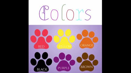 Dog paw Colors matching interactive binder folder, DTT special needs