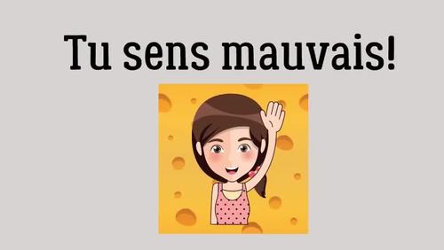 Beginning French Lesson plan Comprehensible Input short story Tu Sens ...