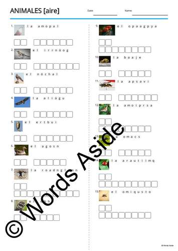 Spanish Vocabulary Writing Spelling Worksheets Crossword Anagram AIR ...