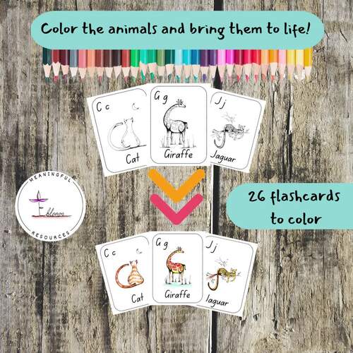 ANIMAL ALPHABET FLASHCARDS w/ hand-drawn illustrations to color ...