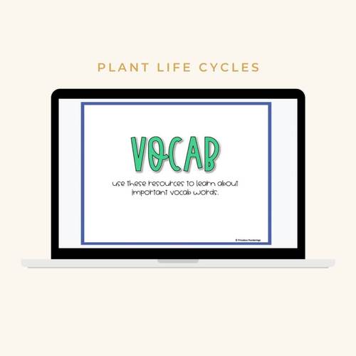 Plant Life Cycle Google Slides - 2nd & 3rd Grade Digital Spring Science ...