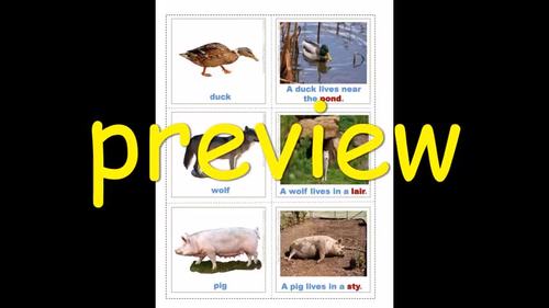 Animal Homes–Flash cards, Cut paste task cards, and worksheets–All real ...