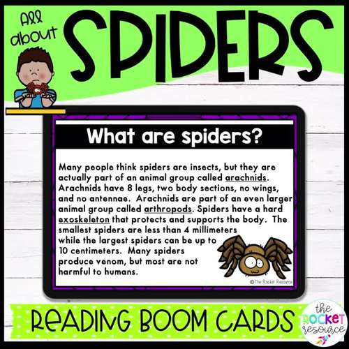 Spiders BOOM™ Cards | Halloween Boom Cards by The Rocket Resource