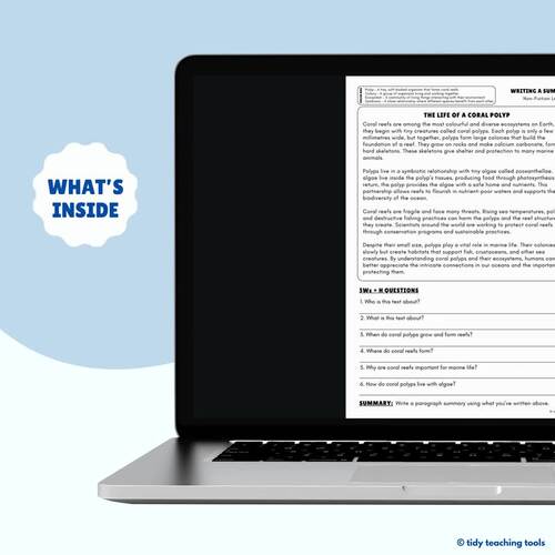 10 x Summary Writing Passages Non-Fiction Reading Comprehension | Grade ...
