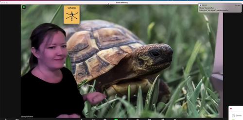 Feed Animals**Green Screen VIDEO backgrounds**HOW TO Green Screen ...