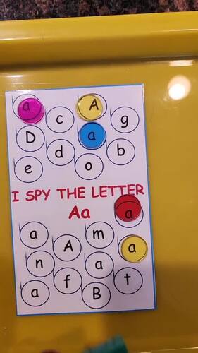 Letter & Sound Recognition Upper and Lowercase Hunt Activity / Assessment