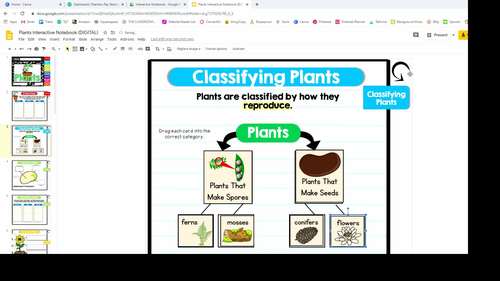 Plants Interactive Notebook - Classification, Life Cycle, Pollination ...