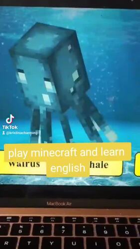 Minecraft sea animals ocean summer end of the year activities | TPT