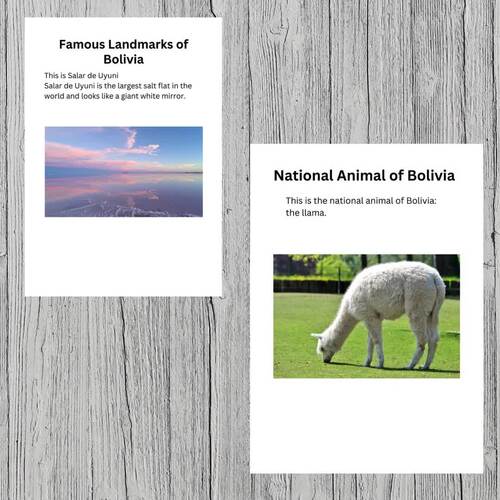 Bolivia Bundle for Kids | Country Study & Geography Activities | TPT