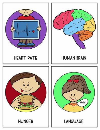 Informative Writing Step-by-Step (80 Human Brain-Themed Writing Prompts)