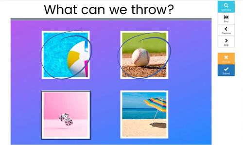 Feature Function Class Summer Boom Cards by Sharon Burgess Ortho