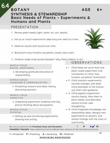 Early Years Botany Montessori 6: Synthesis Stewardship Ecosystems ...