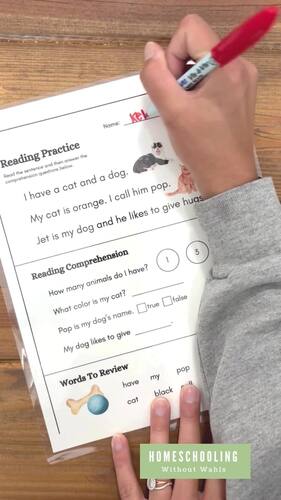 Reading Practice and Comprehension // Kindergarten // CVC and Sight Words
