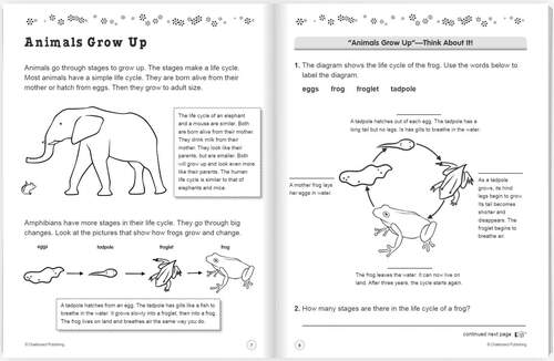 Canadian Daily STEM Activities Grade 2 by Chalkboard Publishing | TPT