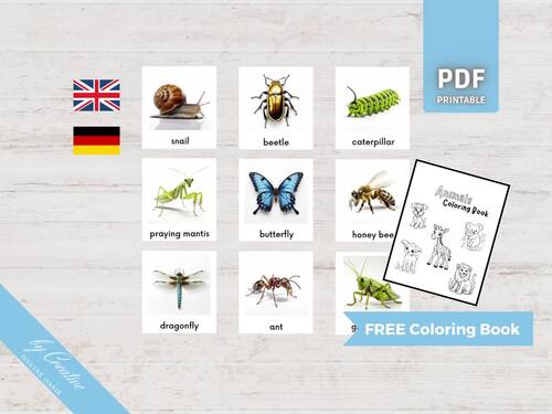 INSECTS • 18 Montessori Cards • Flash Cards German English ...