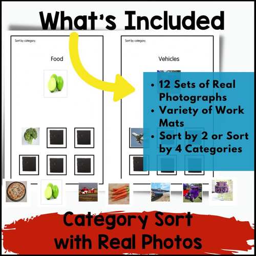 Sorting Pictures by Category (PreK, K, Autism & SPED) by Autism Classroom