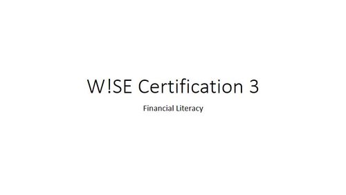W!SE Certification: Financial Literacy 3 of 5 by Jim Kay | TPT