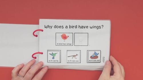 Why? Interactive Book of Questions and Answers, Autism, Speech ...