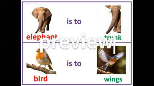 Animal Picture Analogies: Associations & Functions | Flash Task Cards ...