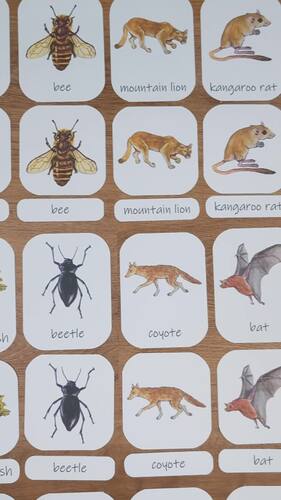 Desert Animals & Plants Three-Part Cards: Montessori-style flashcards