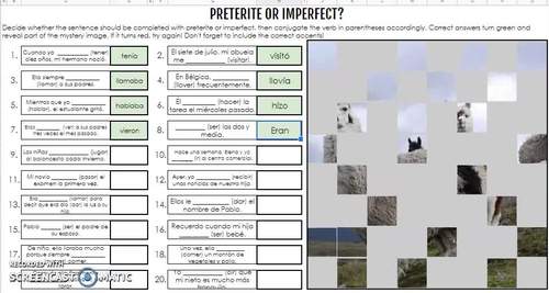 Preterite or Imperfect Mystery Picture Short Answer Version | TPT