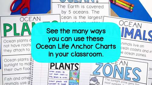 Ocean Anchor Charts by Chalkboard Chatterbox | Teachers Pay Teachers